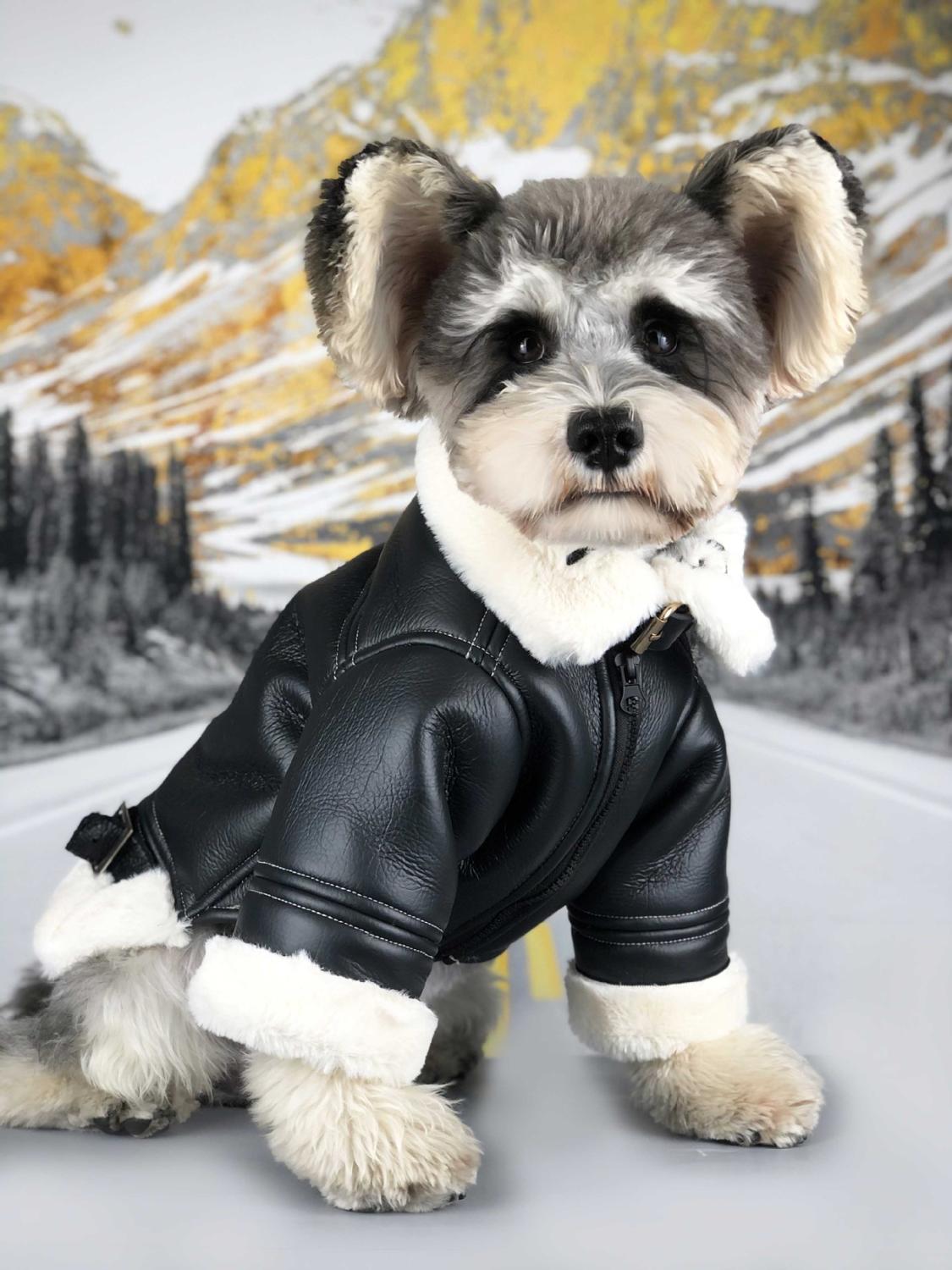 Cool Soft Leather Dog Jacket Coat Warm Winter Dog ... – Grandado