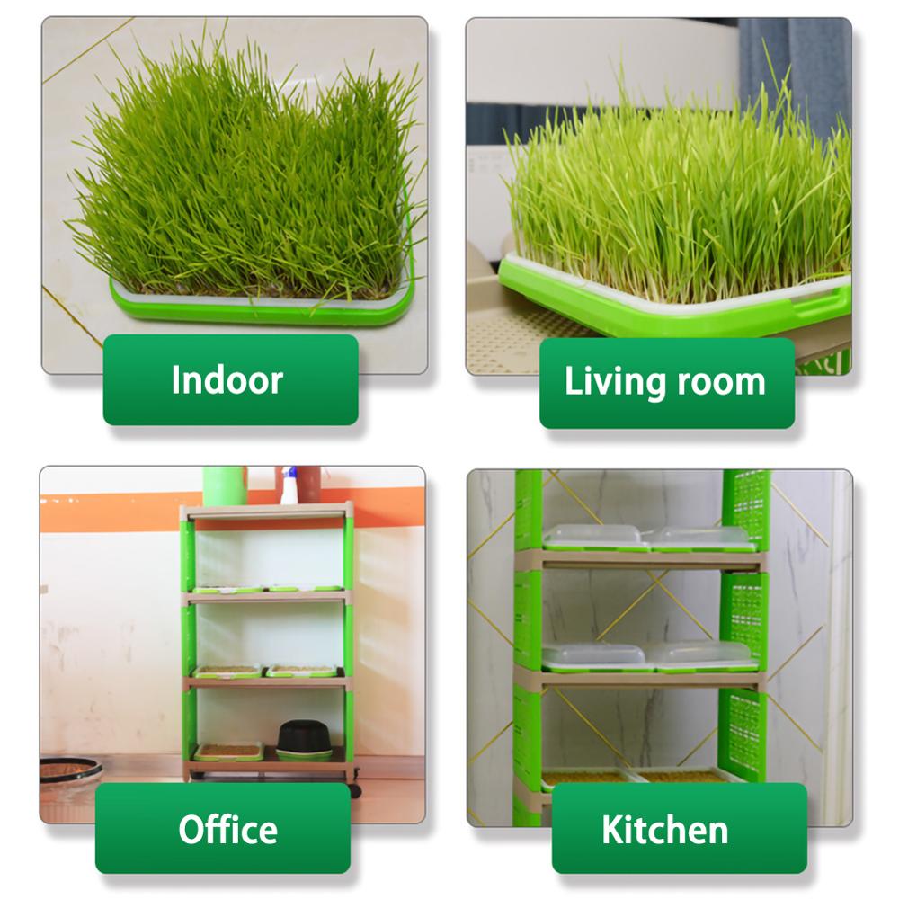 Double-Layer Soilless Culture Beans Hydroponics Se... – Vicedeal