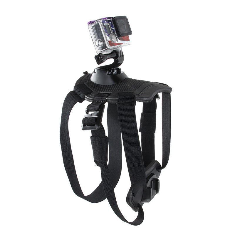 Adjustable Fetch Dog band for Gopro hero8 7 6 5 4 ... – Grandado