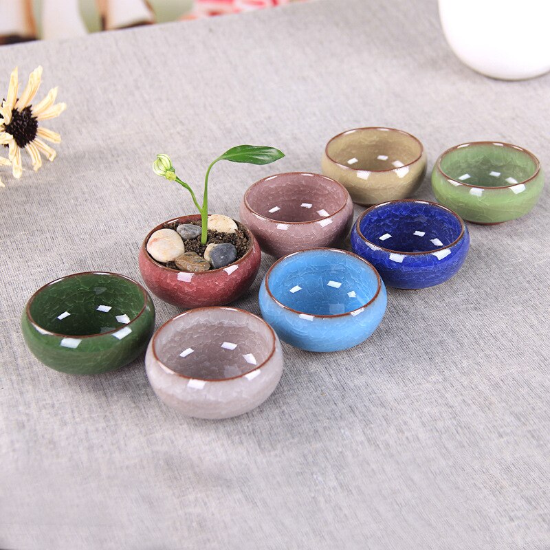 8 Pieces of Multi-meat Ceramic Flower Pot Flower I... – Grandado