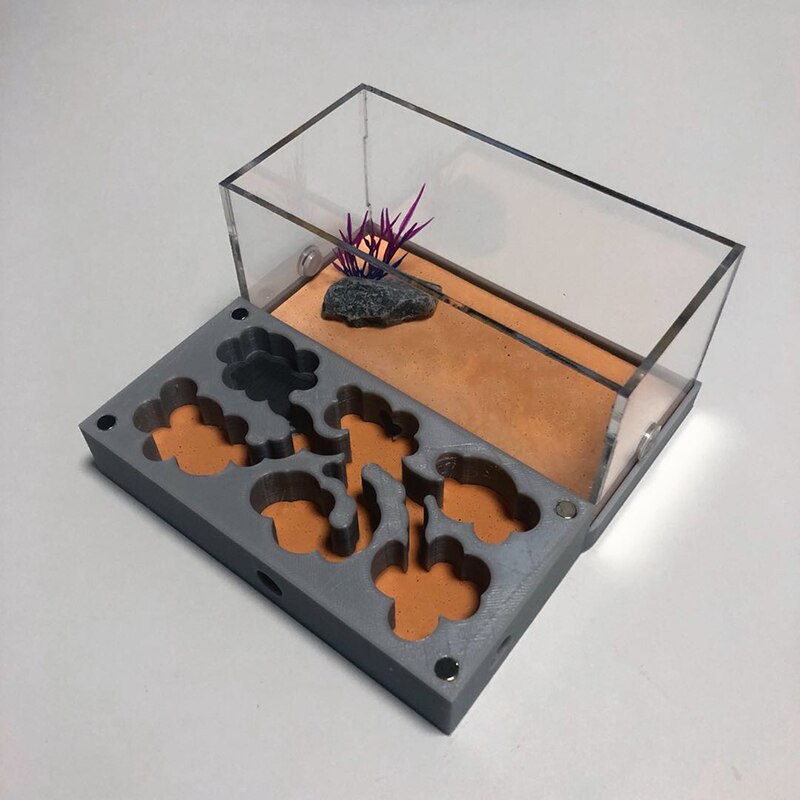 3D print Moisturizing Acrylic Ant Farm Ecological ... – Grandado