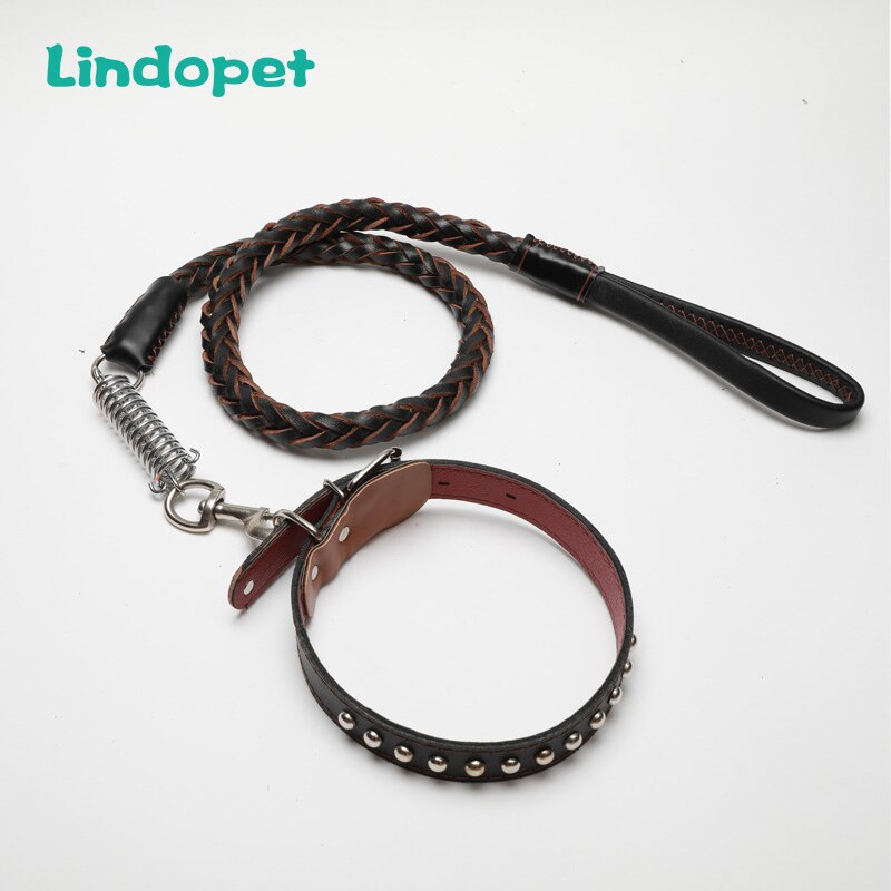 Pet dog collar leather traction rope large dog Gol... – Grandado