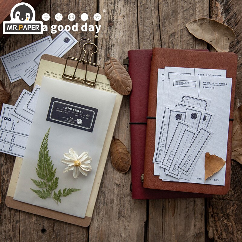 Mr.paper 8 Designs 24pcs Ancient Plant Letters Scr... – Vicedeal