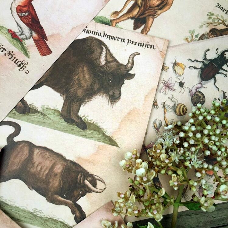 16pcs/pack/lot Students' DIY cards set Vintage Mys... – Grandado