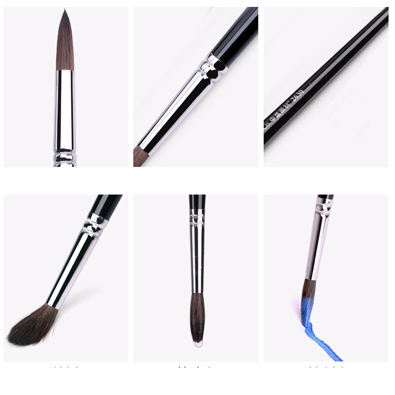 DINGYI Round Squirrel Hair Paint Brush Pen Artist ... – Grandado