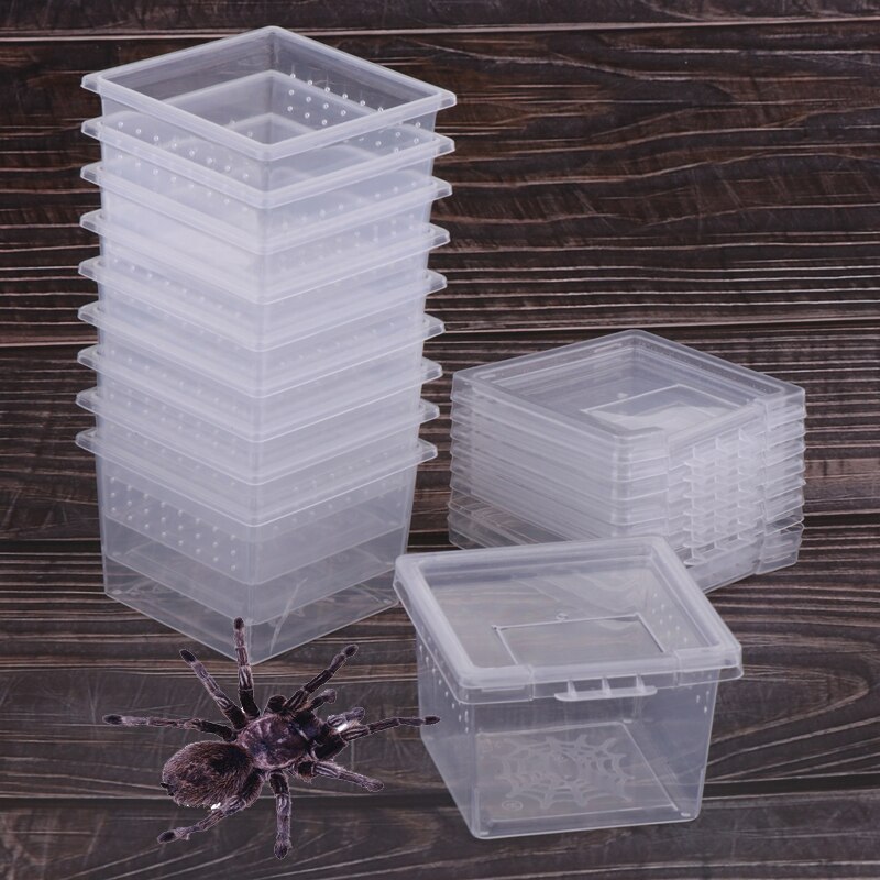 Plastic Feeding Box Reptile Cage Hatching Containe... – Vicedeal