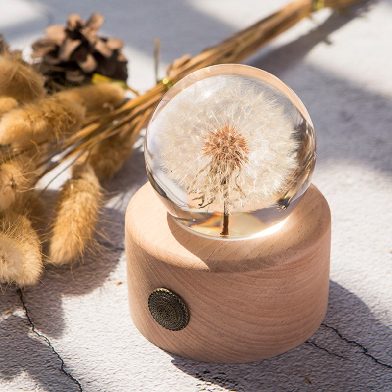 Real Dandelion Crystal Ball Music Box Wooden Base ... – Vicedeal