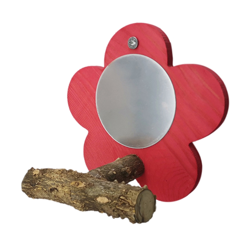 Vogel Spiegel Met Houten Baars Papegaai Spiegel Sp... – Vicedeal