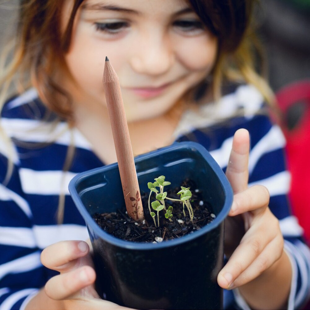 8PCS Idea Germination Pencil Set To Grow Pencil Pe... – Grandado