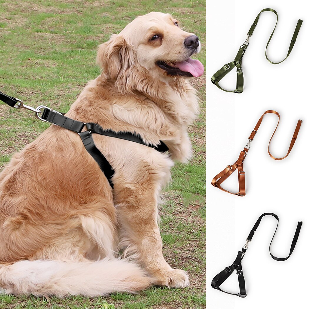 Heavy Duty Dog Pet Harness Collar Adjustable Padde... – Grandado