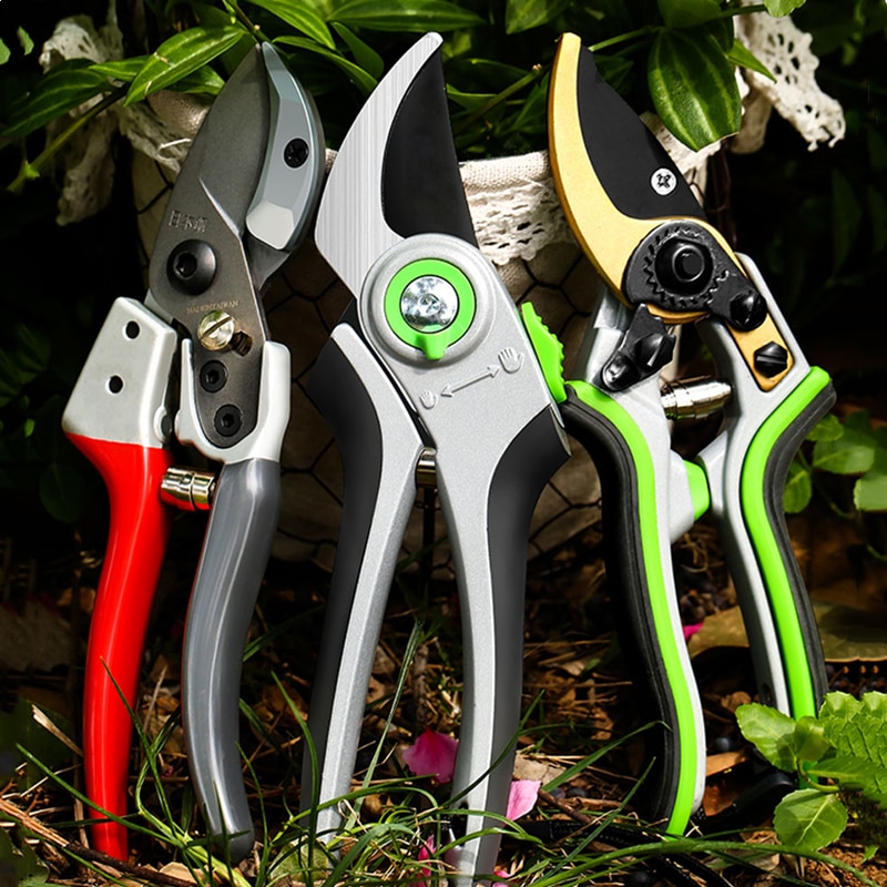 Garden Pruning Shears Secateurs Tools Fruit Tree P... – Grandado