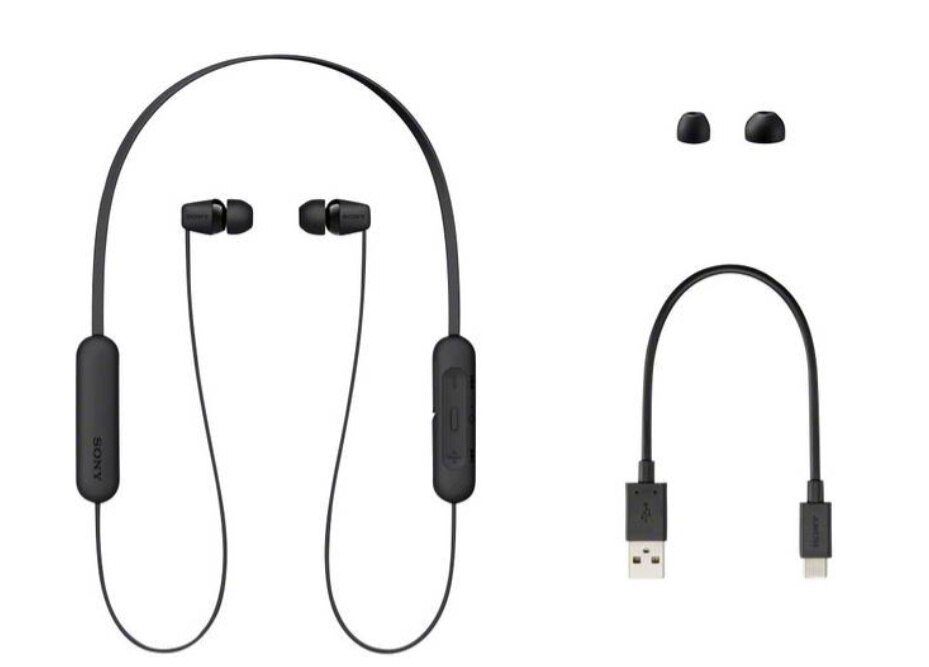 Sony WI-C200 With Mic Bluetooth 5.0 In Ear Earphon... – Grandado