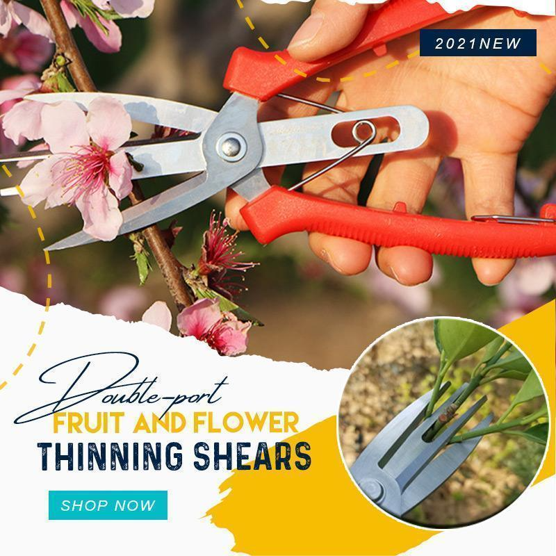 Double-edged Fruit Picking Scissors Garden Pruner ... – Vicedeal