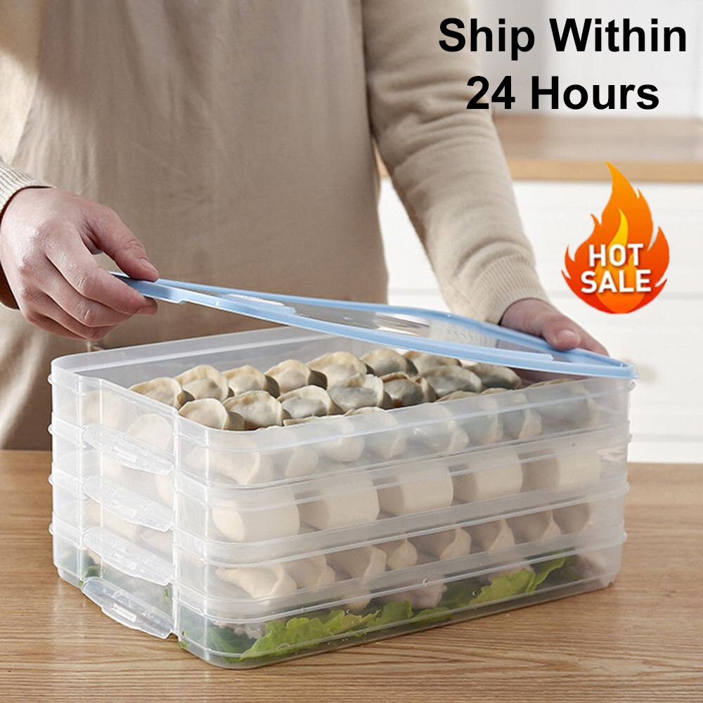 Store Single Layer Dumpling Boxes Storage Tray Foo... – Vicedeal