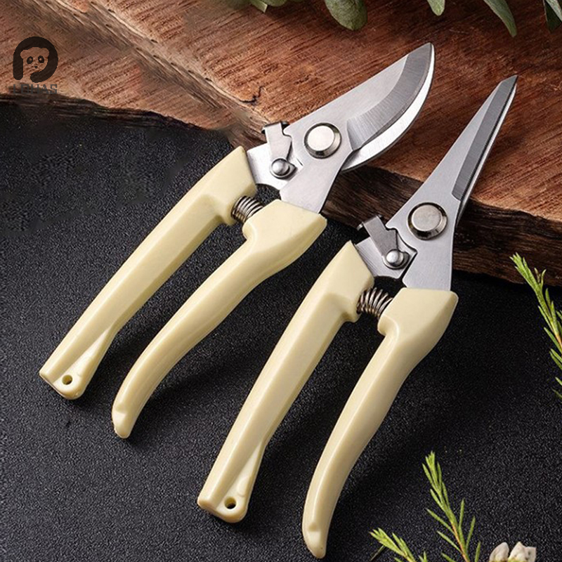 Pruning Garden Scissors Garden Trimmer Orchard Sci... – Grandado