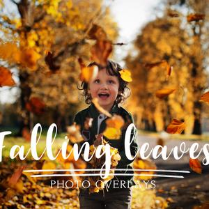 105 Falling Leaves Photo Overlays, Autumn overlays... – Vicedeal
