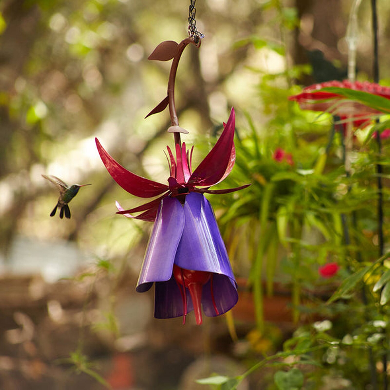 Vogel Feeders Voor Buiten Stalen Humming Bird Feed... – Vicedeal