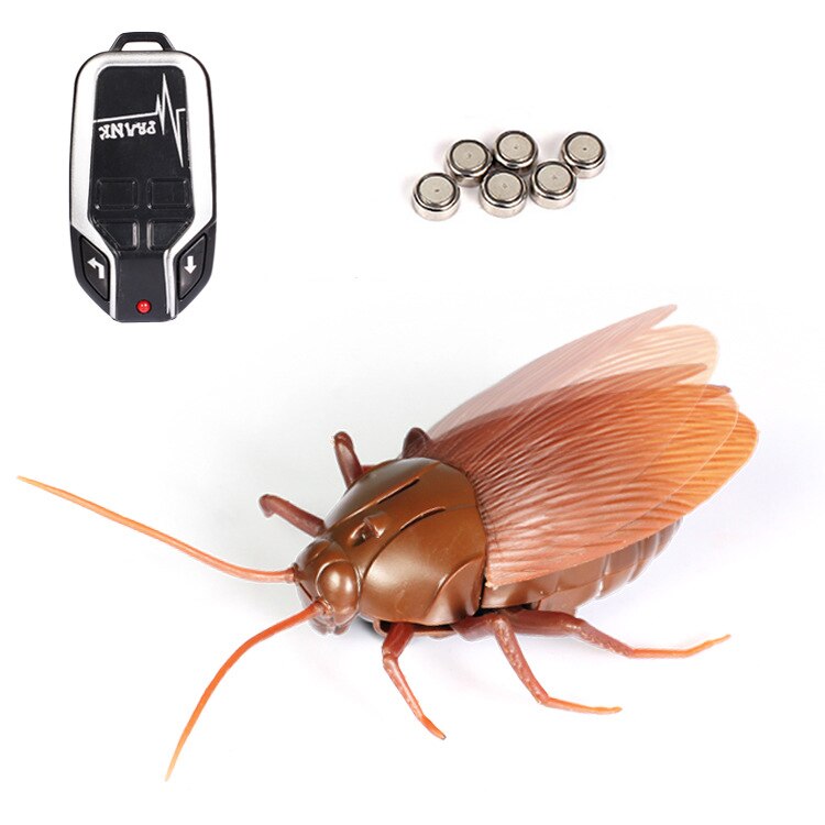 Simulation Insect Cockroach Toys anti-stress For A... – Grandado