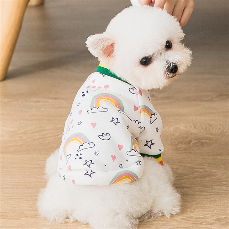 Pet Mooie Wind Regenboog Trui Hond Kleding Voor Kl... – Grandado