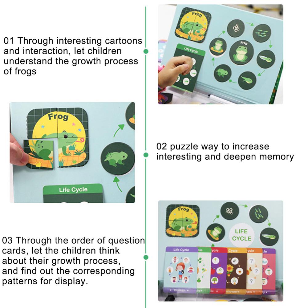 Magnetic Lifecycle Frog Animal Puzzles Pen Paintin... – Grandado