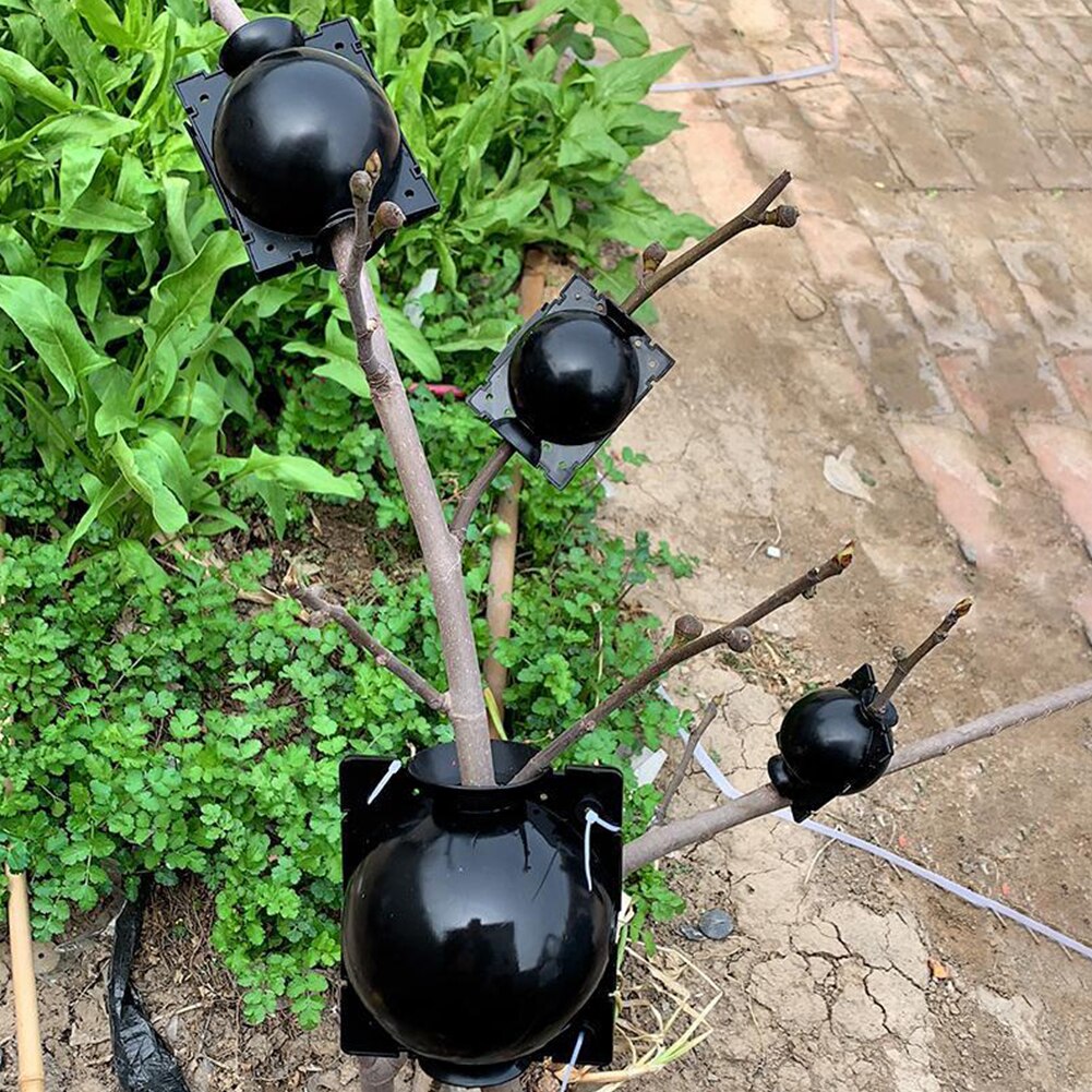 Plant High-pressure Propagation Box Cutting Grafti... – Grandado