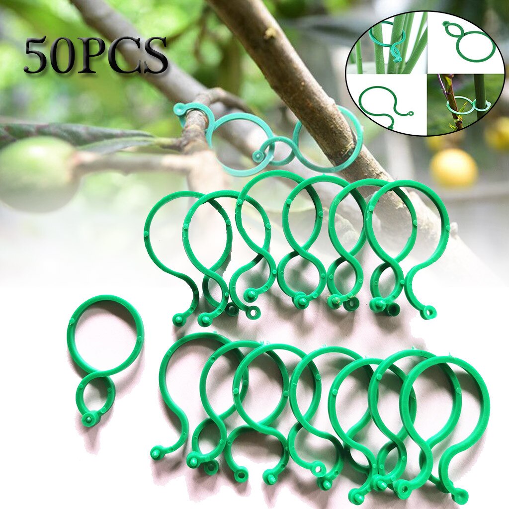 50 Stuks Plant Ondersteuning Clips Tuin Clips Bloe... – Grandado