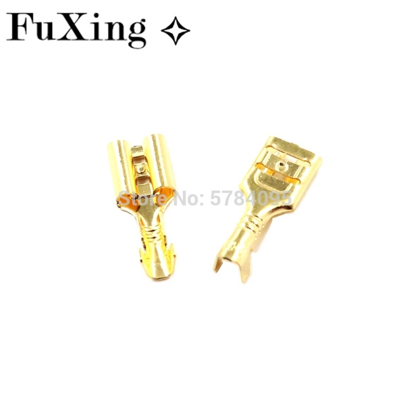 Female Terminals 6.3 mm With Transparent Sheath In... – Grandado