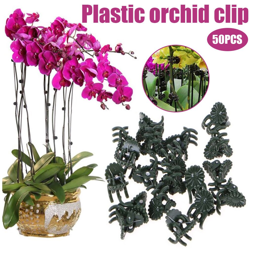 50Pcs Tuinieren Groenten Bloem Clip Praktische Wij... – Grandado