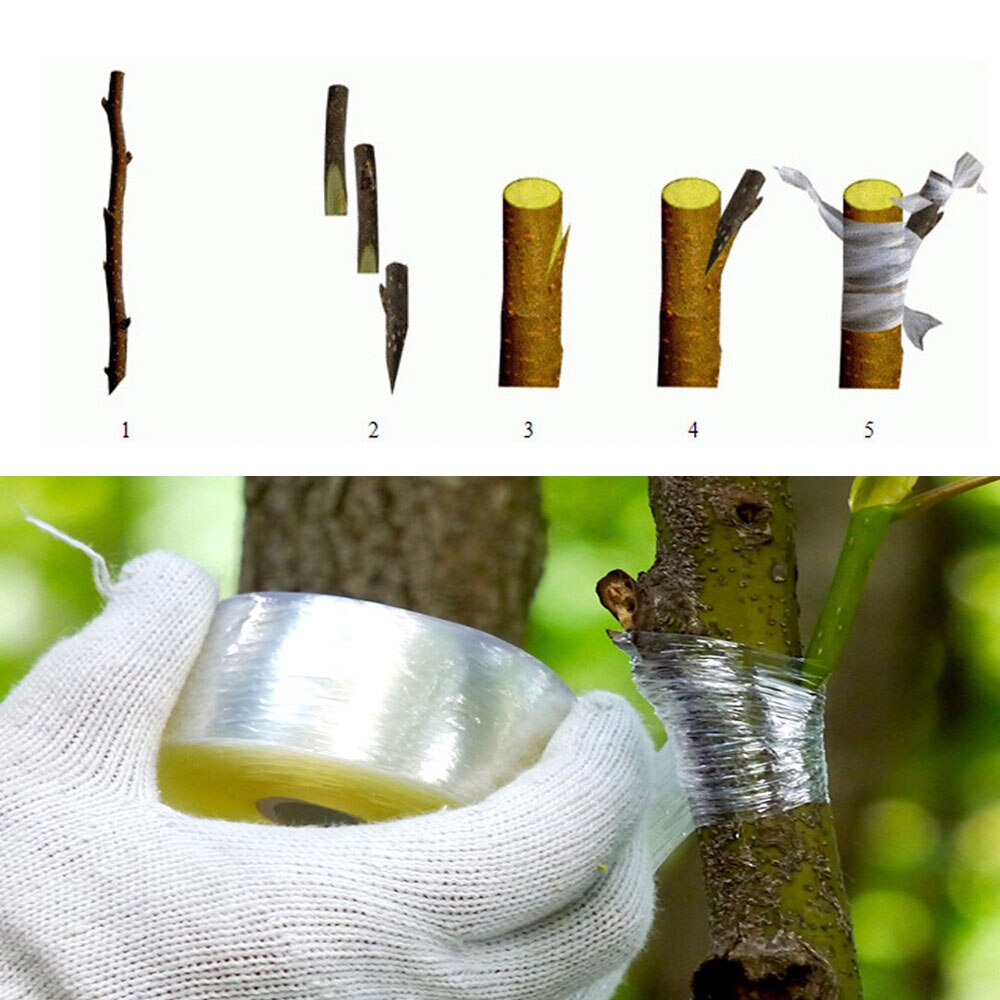 3CM Grafting Tape Fruit Tree Gardening bind belt P... – Grandado