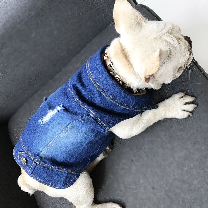 HSWLL Denim Dog Clothes for Small Dogs Jeans Vest ... – Vicedeal
