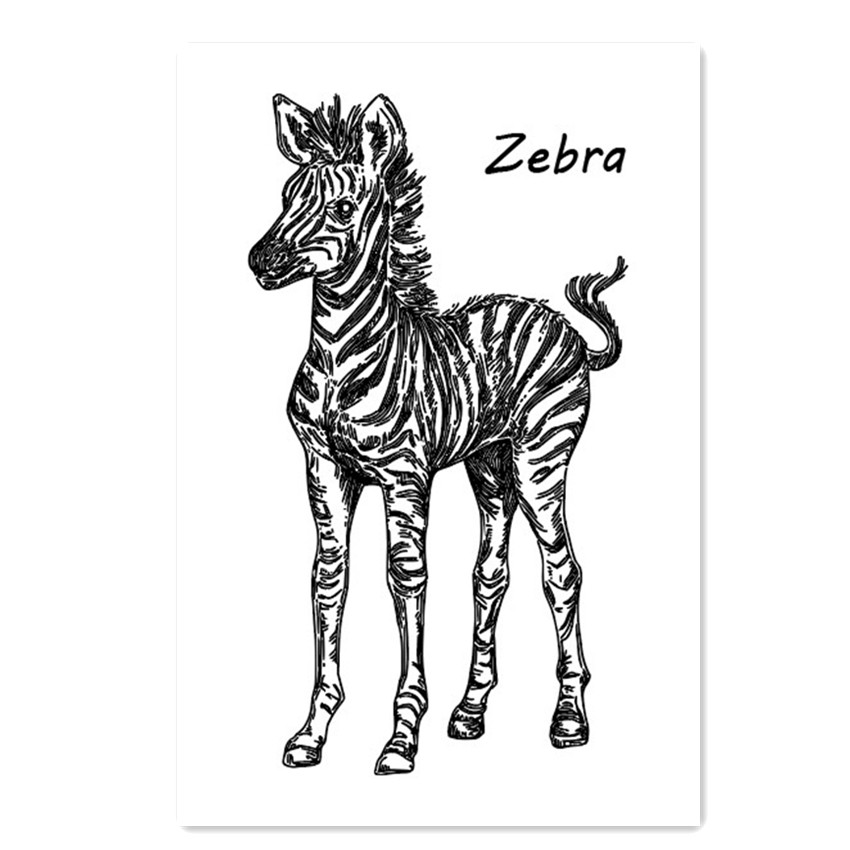 Panfelou Zebra Cub Dier Transparante Siliconen Rub... – Vicedeal