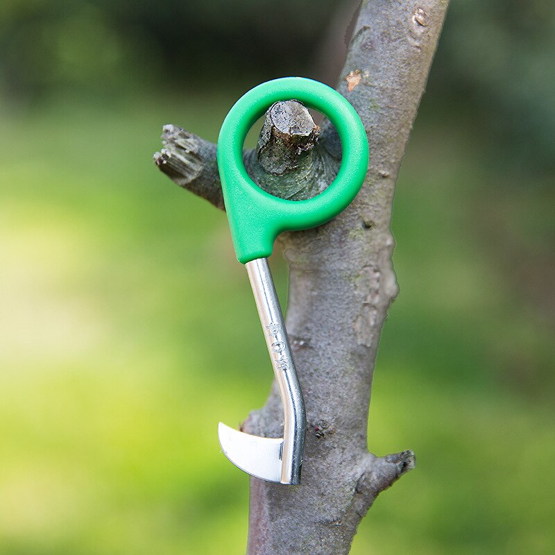 Ring Barking Cutter Schaar Girdling Tuin Fruit Boo... – Grandado