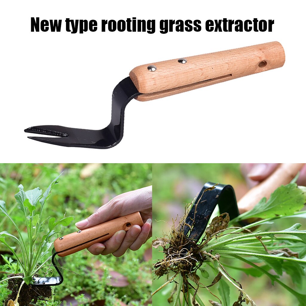 Wood Handle Stainless Steel Garden Weeder Hand Wee... – Grandado