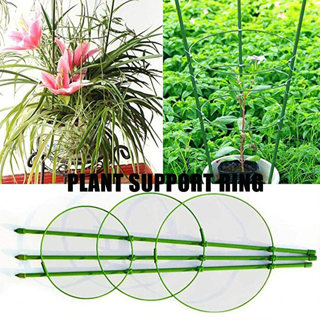Climbing Plant Support Cage Garden Trellis Flowers... – Vicedeal