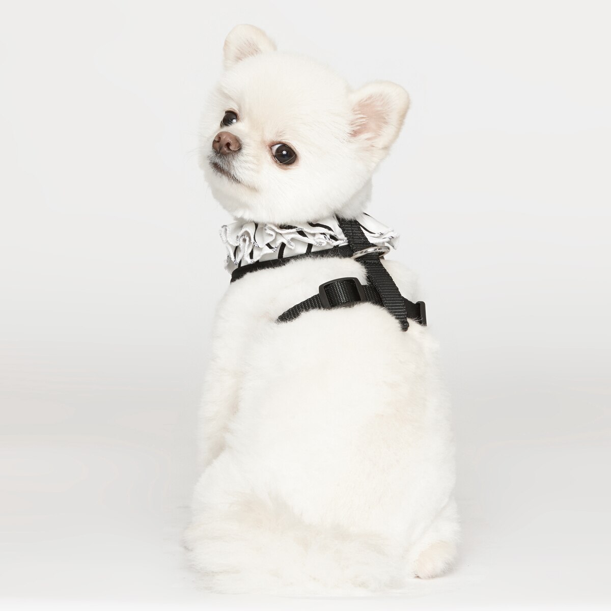 Small and Medium-sized Dog Harness Sleeve Style So... – Vicedeal