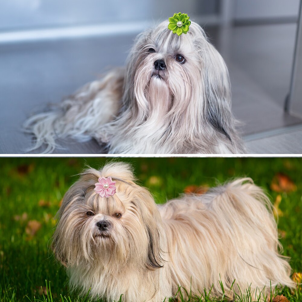 Flower Dog Hair Bows Long Hair Pet Dogs Bows Rubbe... – Grandado