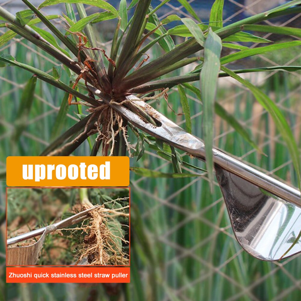 Weeder Seedling Transplant Tool Hand Weeding Remov... – Grandado