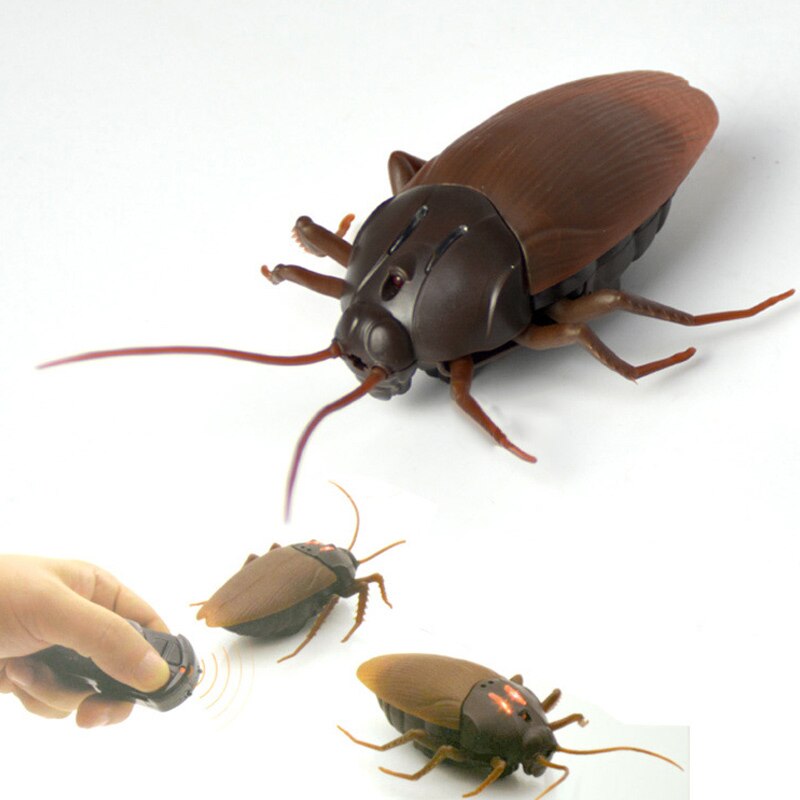1pcs Lifelike Simulation Cockroach Ant Spider Infr... – Grandado