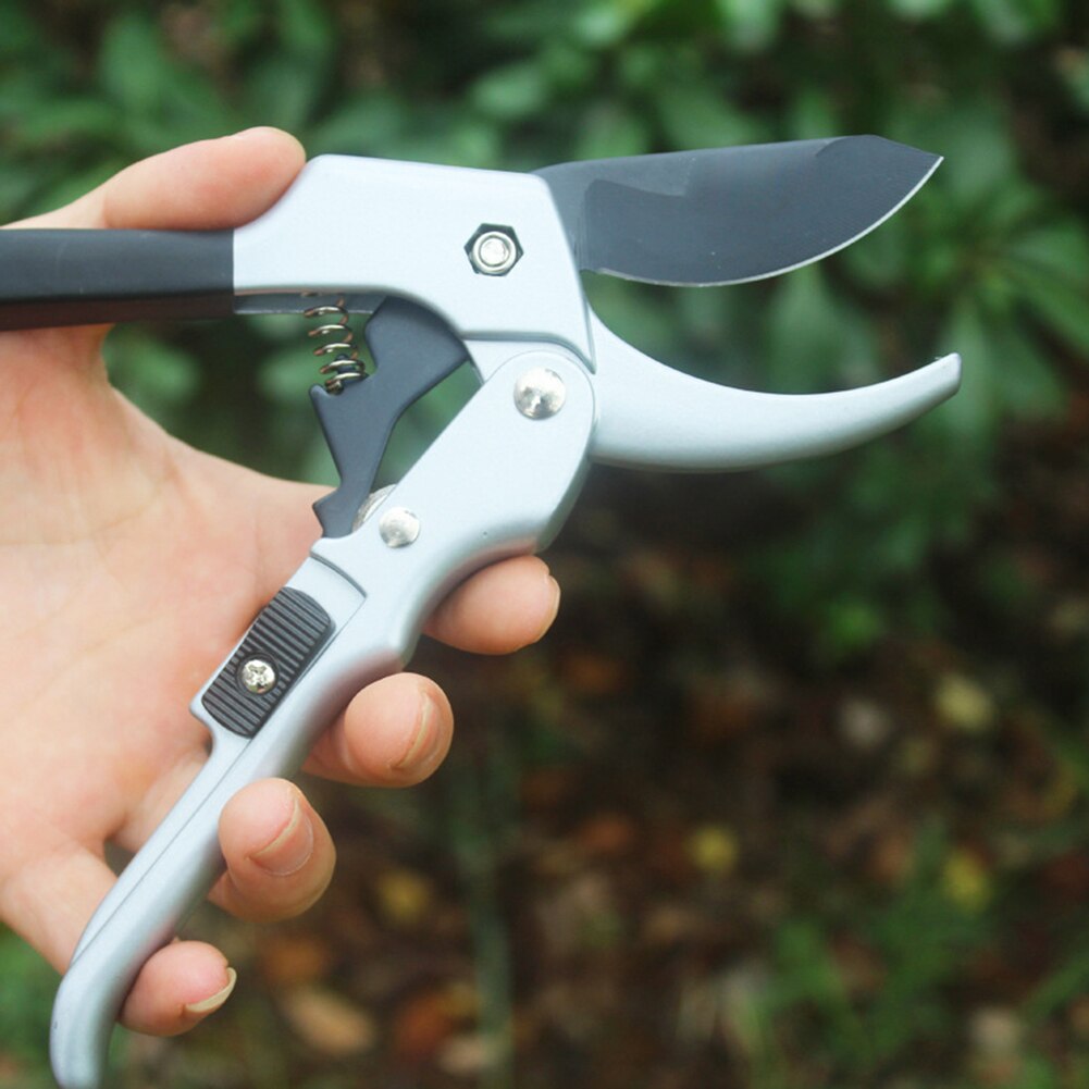 Garden Plant Scissor Pruner Shear Cut Shrub Orchar... – Vicedeal