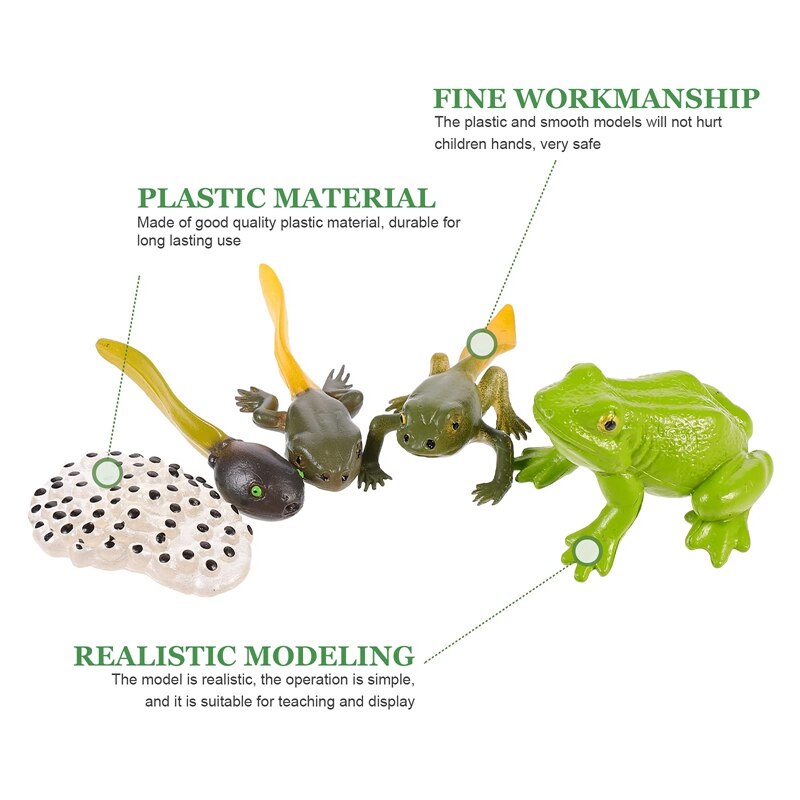 3 Sets Simulation Frog Life Cycle Figures Growth S... – Grandado