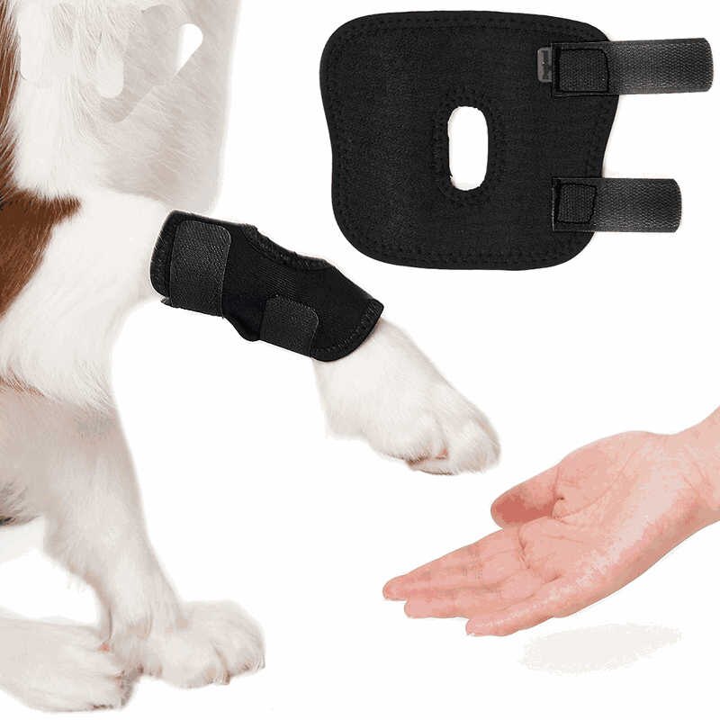 Dog Leg Protection Fixing on Leg when Injured Help... – Grandado