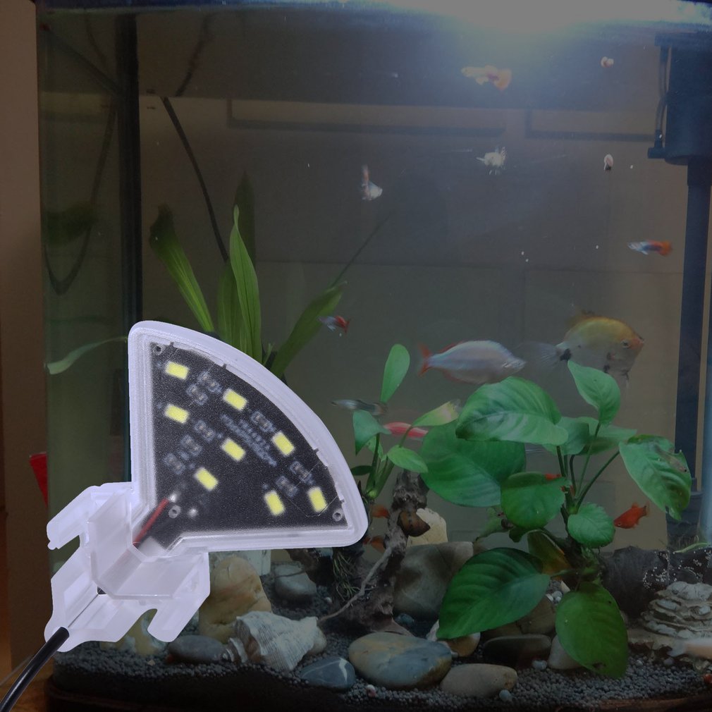 Aquarium Light 3W USB Fan Shaped Fish Tank Lamp Cl... – Grandado