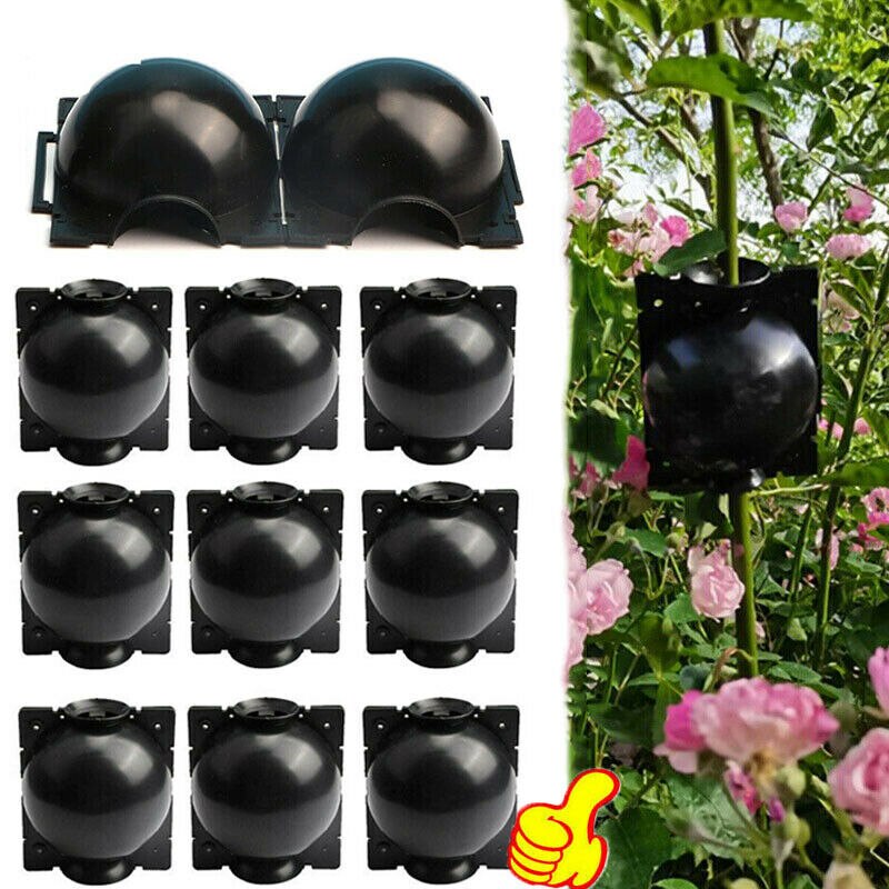 10 Stuks Plant Wroeten Apparaat-Assisted Snijden W... – Grandado