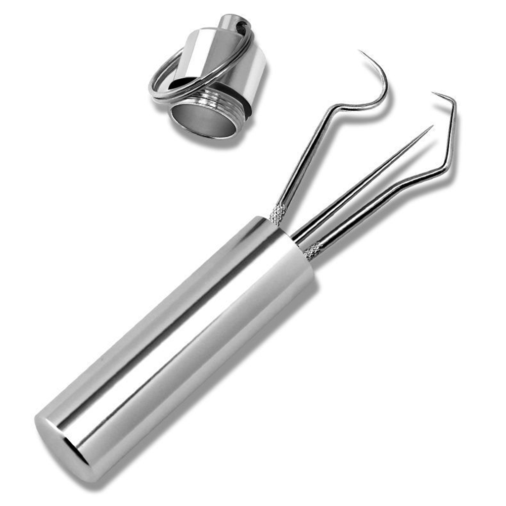 Stainless Steel Toothpick Set Metal Flossing Tools... – Grandado