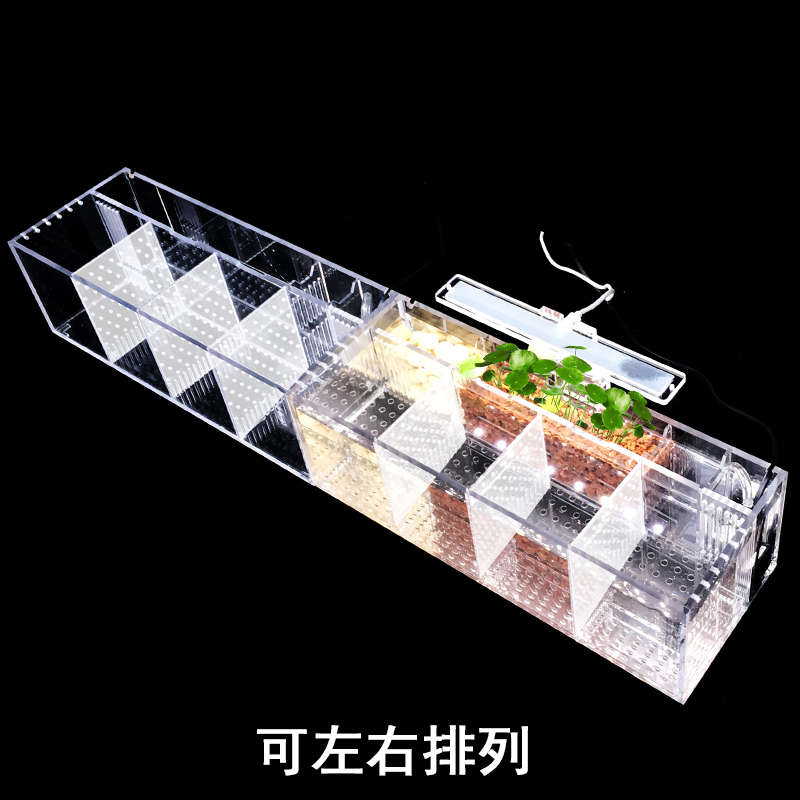 220V Betta Fish Tank Breeding Incubator Isolation ... – Grandado