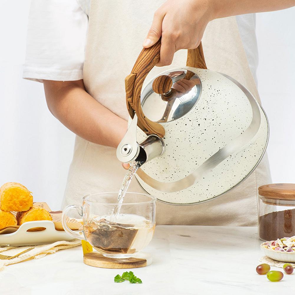 3.5L Stainless Steel Whistling Tea Kettle with Hea... – Vicedeal