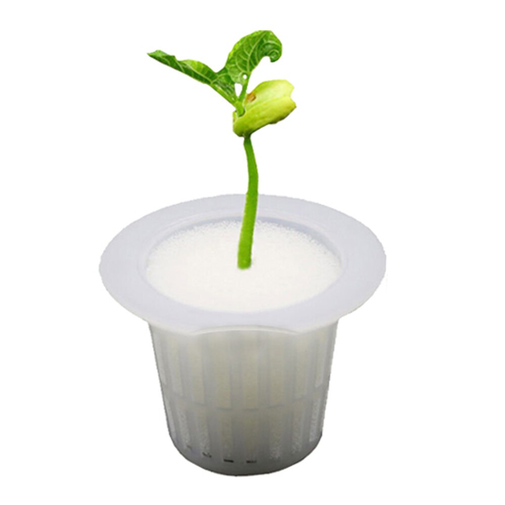 Mini Nursery Cups Soilless Hydroponic Plastic Dura... – Grandado