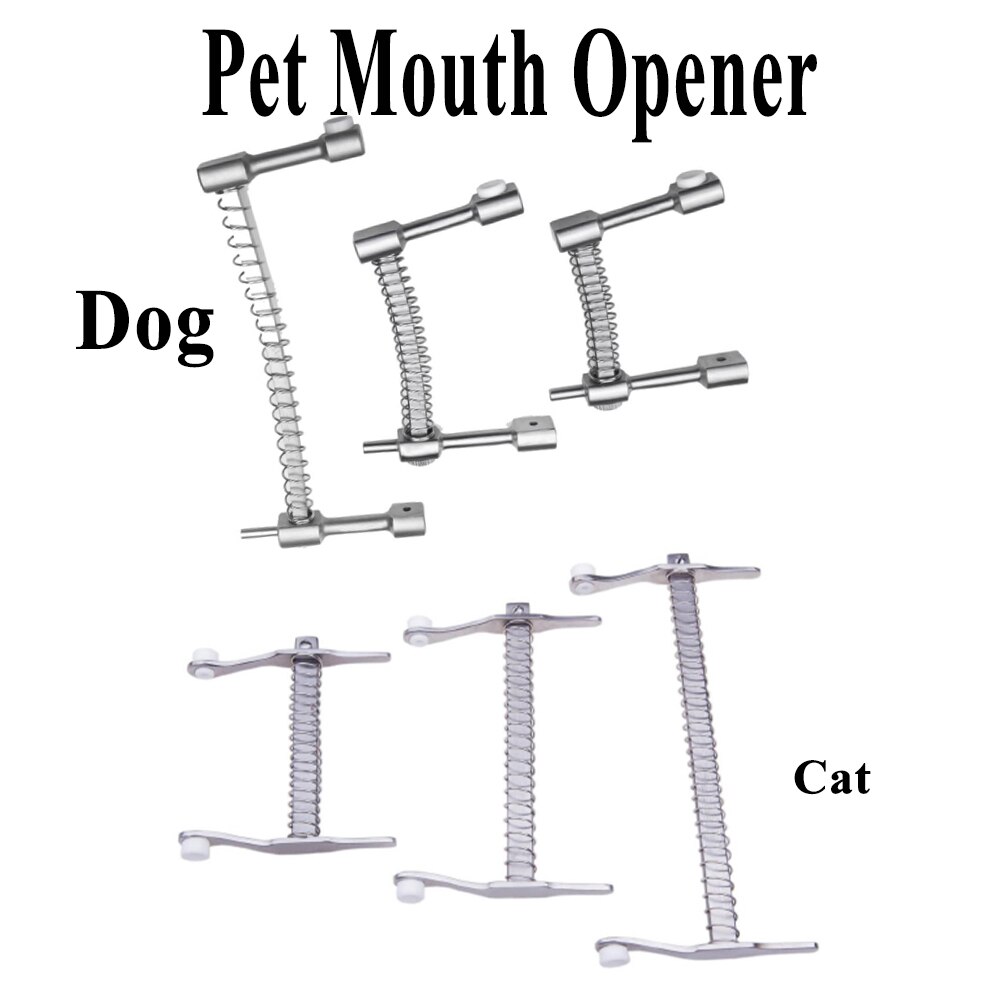 1PCS Pet Dog Cat Canine Feline Month Opener Stainl... – Grandado