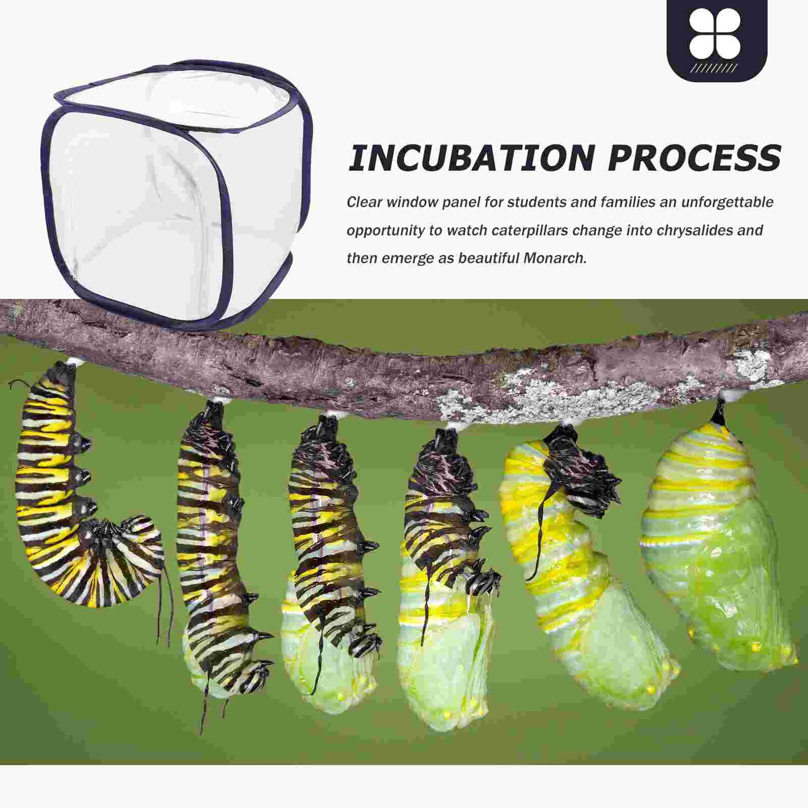 Large Monarch Habitat Collapsible Insect Mesh Cage... – Grandado