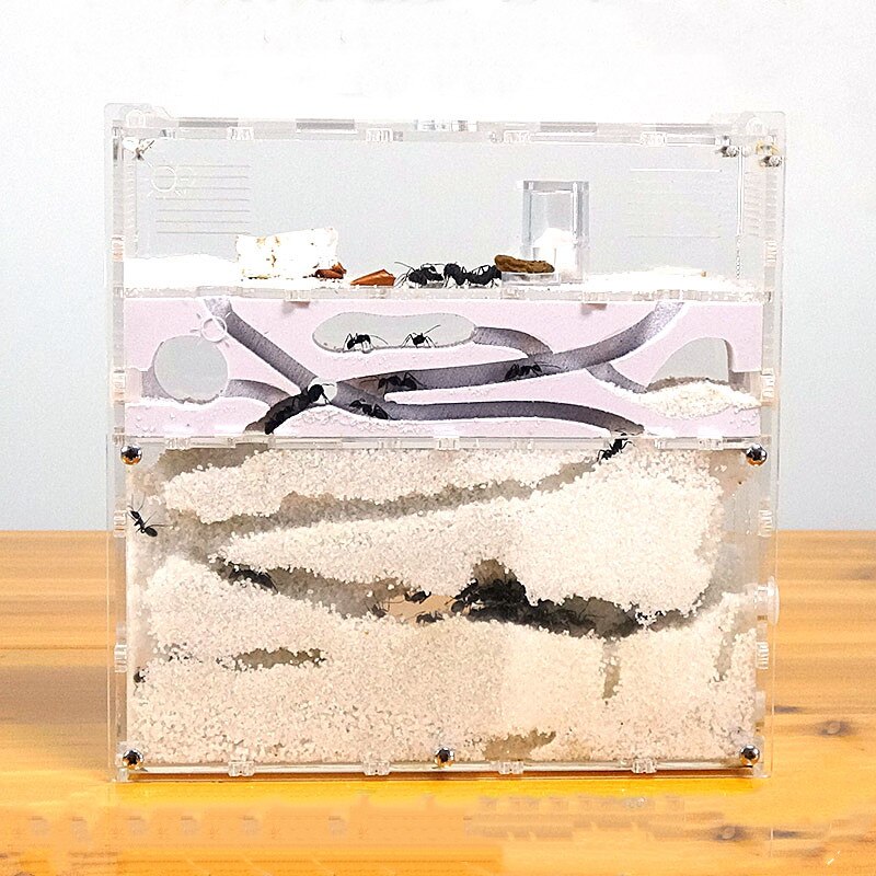 Mier Acryl Combo Met Hybrid Zand Nest Ant Farm For... – Vicedeal